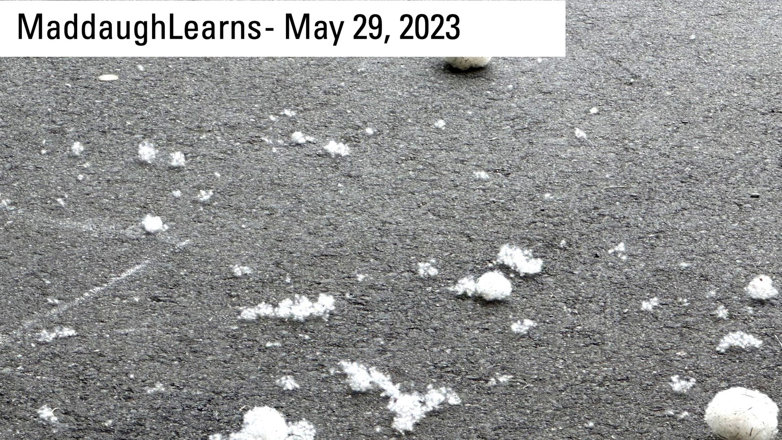 Stay Connected - Enjoy The May 29th, 2023 Edition Of The MaddaughLearns Blog!